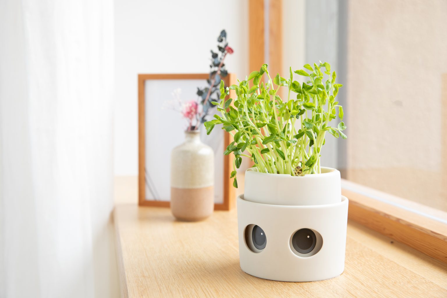 新商品「Pet Pot（ペットポット）」がリリースされました。 | amepla